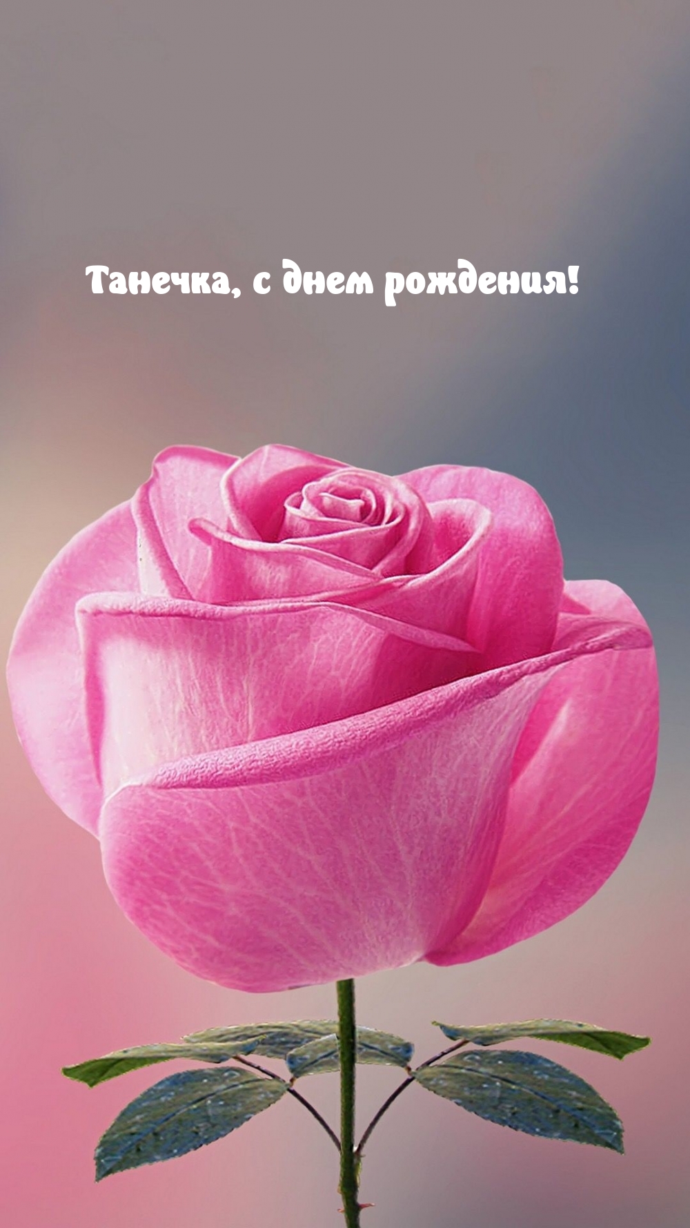 Поздравления с днем рождения Татьяне в прозе и картинках (130 открыток ...