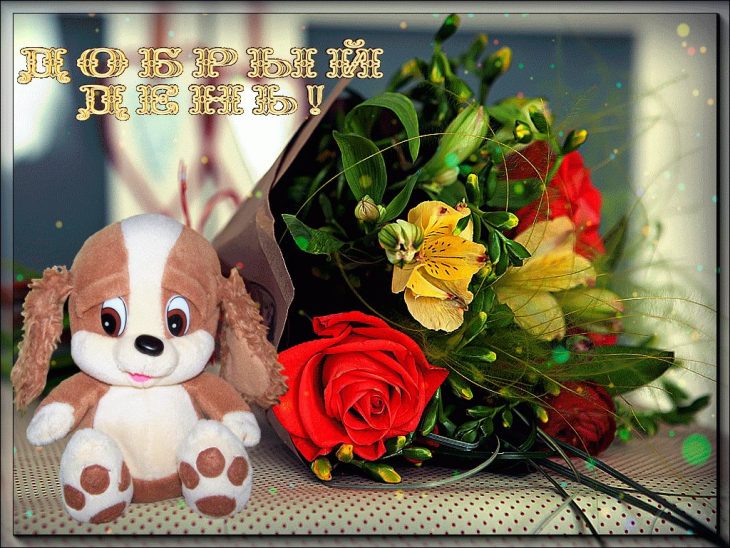 Красивые картинки "Хорошего дня!" (67 фото) 🔥 BipBap.ru