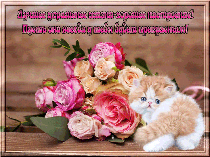 Красивые картинки "Хорошего дня!" (67 фото) 🔥 BipBap.ru