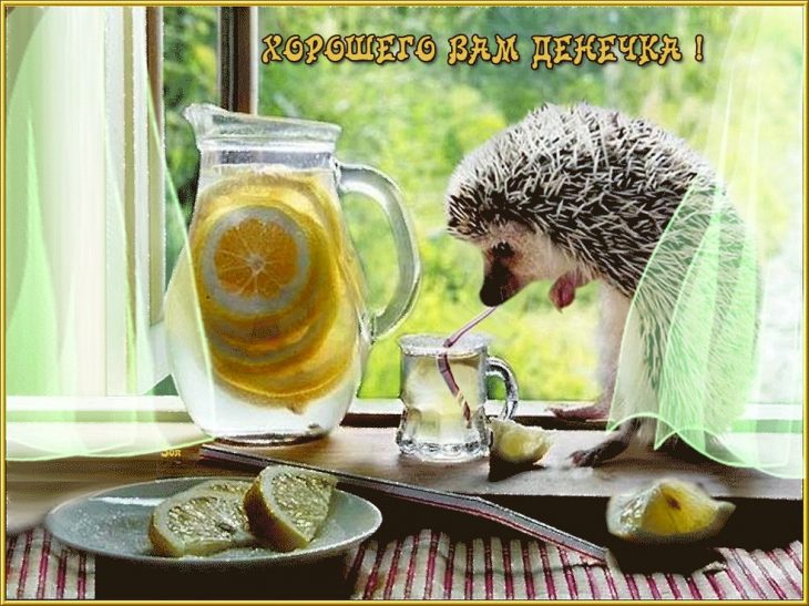 Красивые картинки "Хорошего дня!" (67 фото) 🔥 BipBap.ru