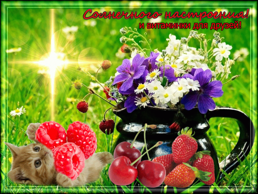 Красивые картинки "Хорошего дня!" (67 фото) 🔥 BipBap.ru