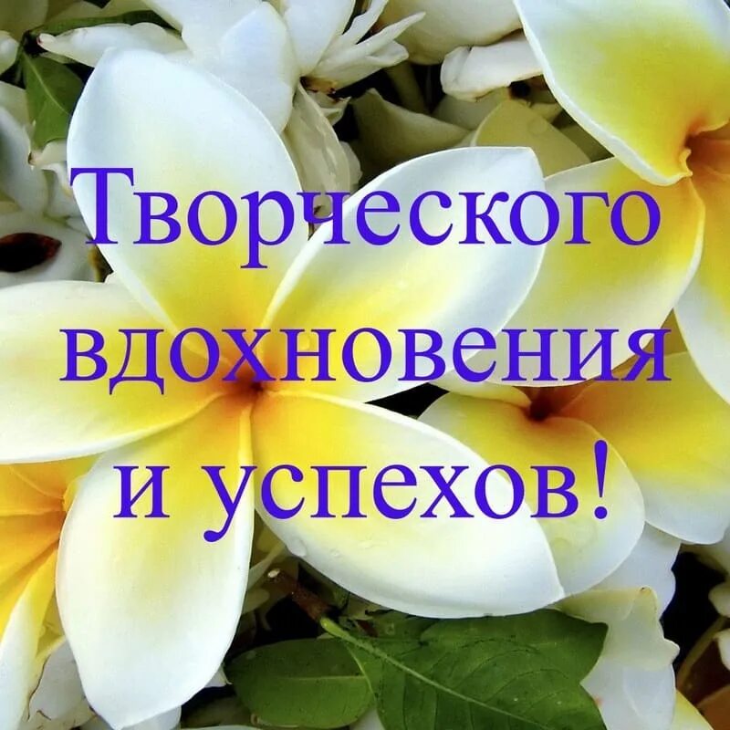 Пожелания удачи (200 фото) 🔥 BipBap.ru