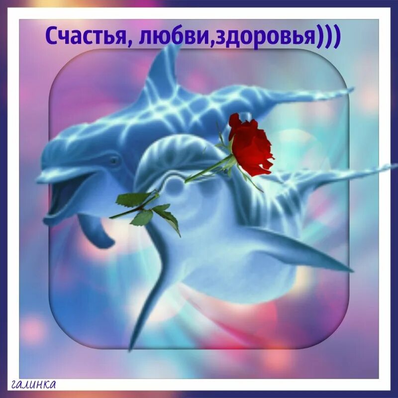 Пожелания удачи (200 фото) 🔥 BipBap.ru