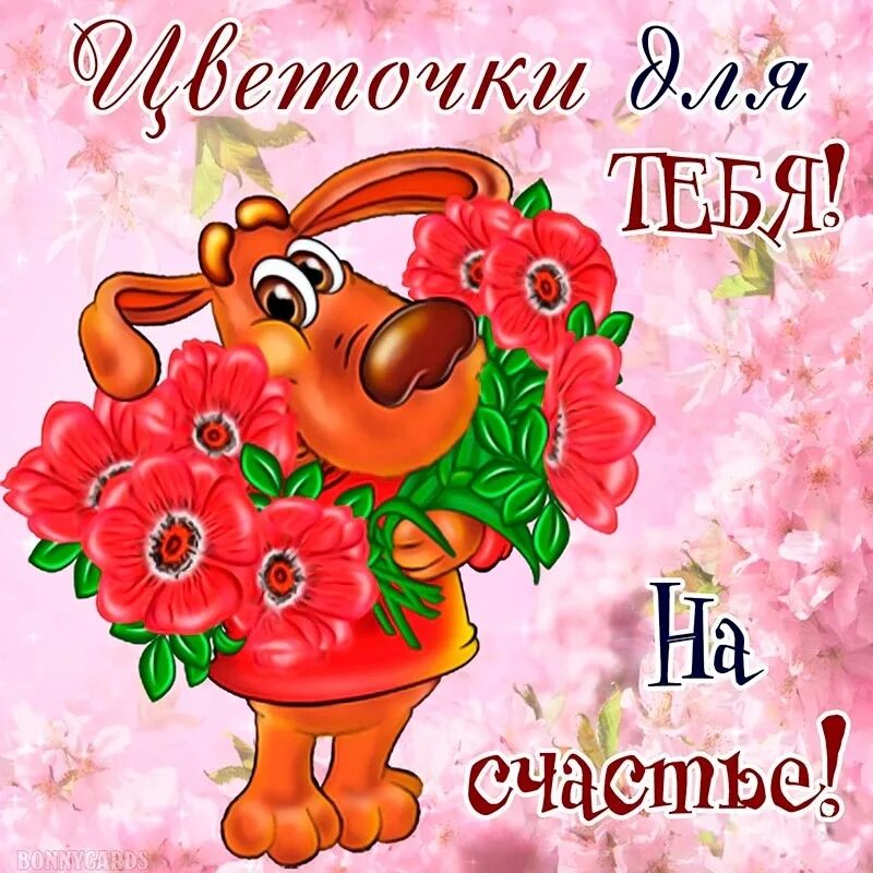 Пожелания удачи (200 фото) 🔥 BipBap.ru