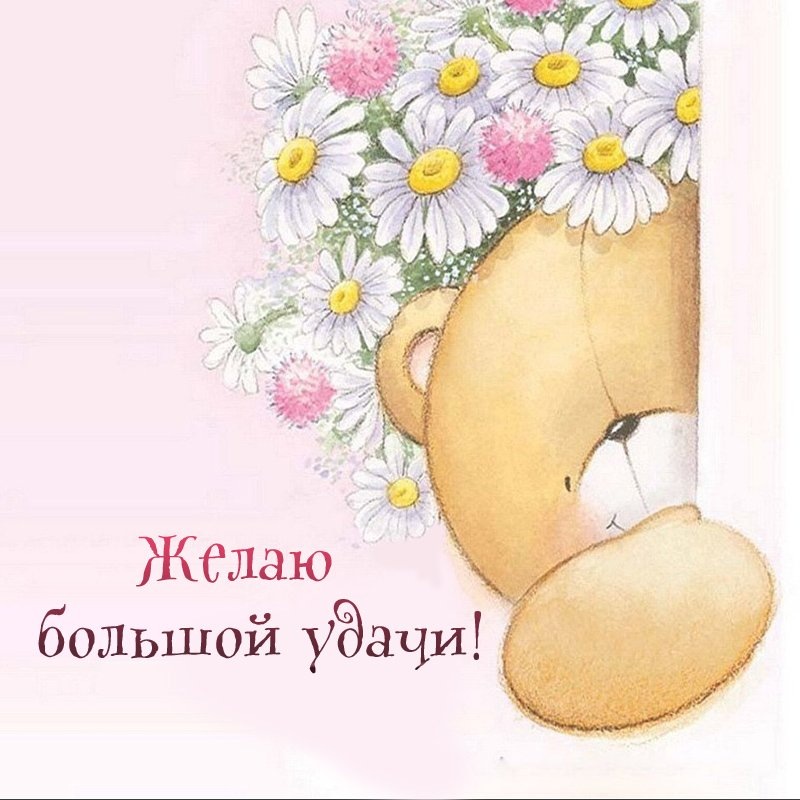 Пожелания удачи (200 фото) 🔥 BipBap.ru