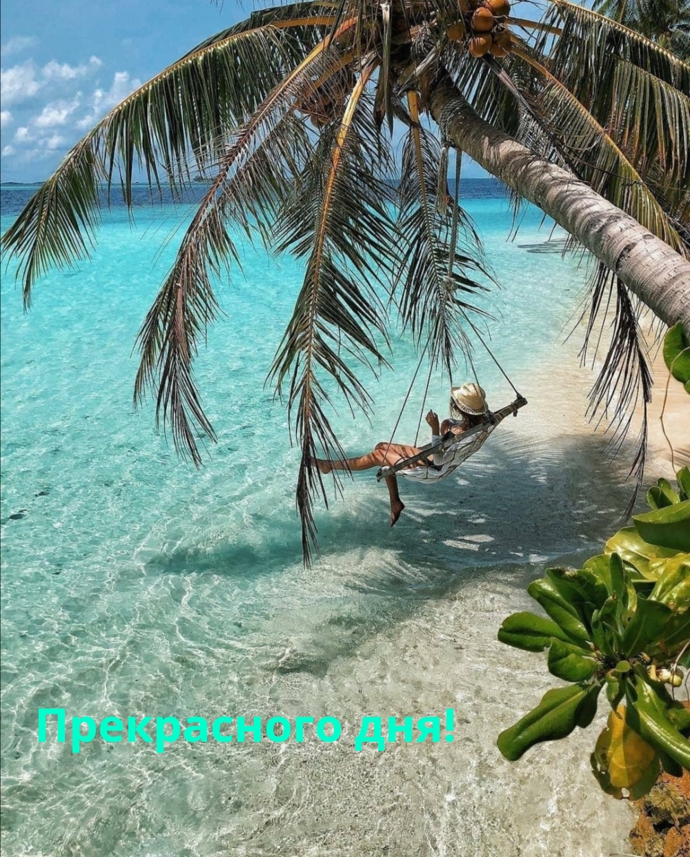 Самые красивые пожелания хорошего дня (134 фото) 🔥 BipBap.ru