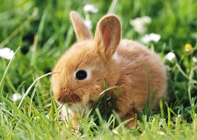 Самые красивые и милые фотографии (100 фото) 🔥 BipBap.ru