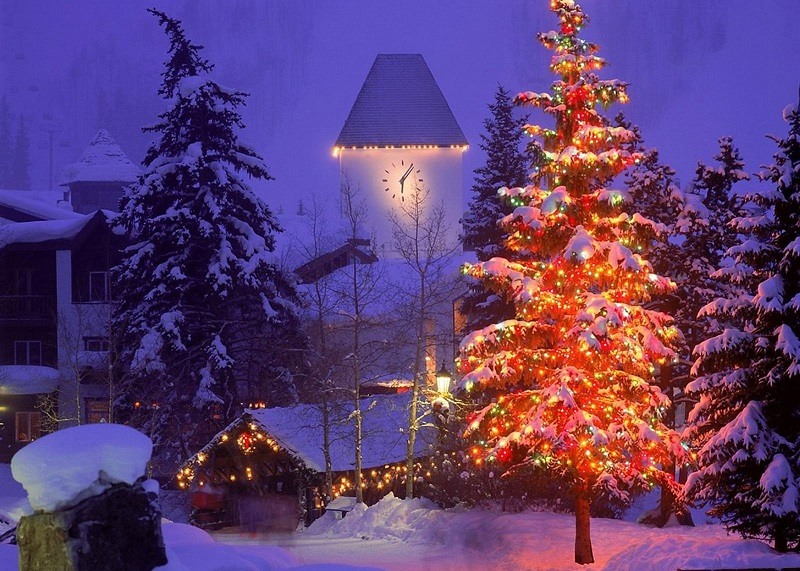 Самые красивые новогодние елки (100 фото) 🔥 BipBap.ru