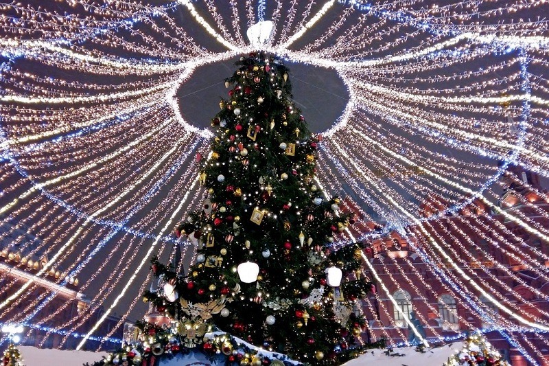 Самые красивые новогодние елки (100 фото) 🔥 BipBap.ru