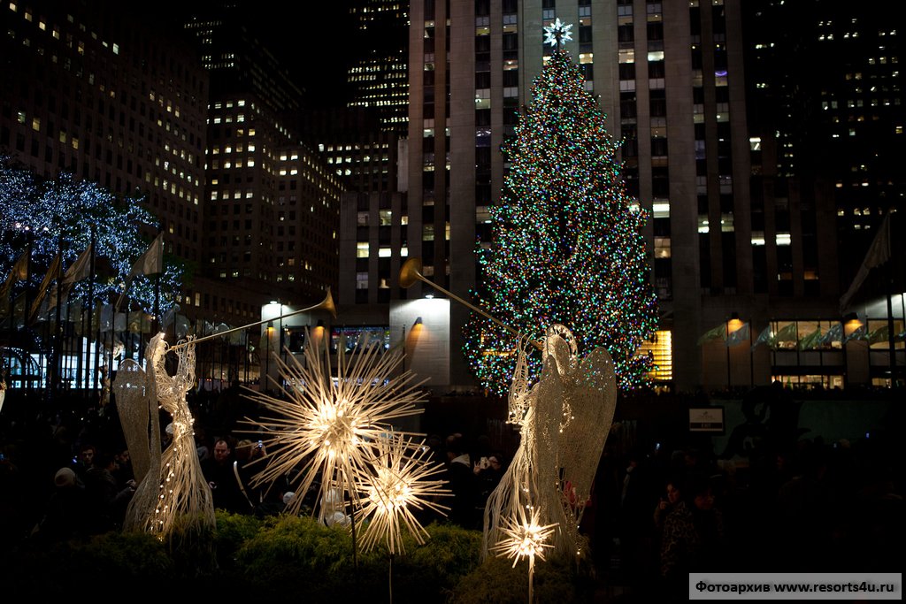 Самые красивые новогодние елки (100 фото) 🔥 BipBap.ru