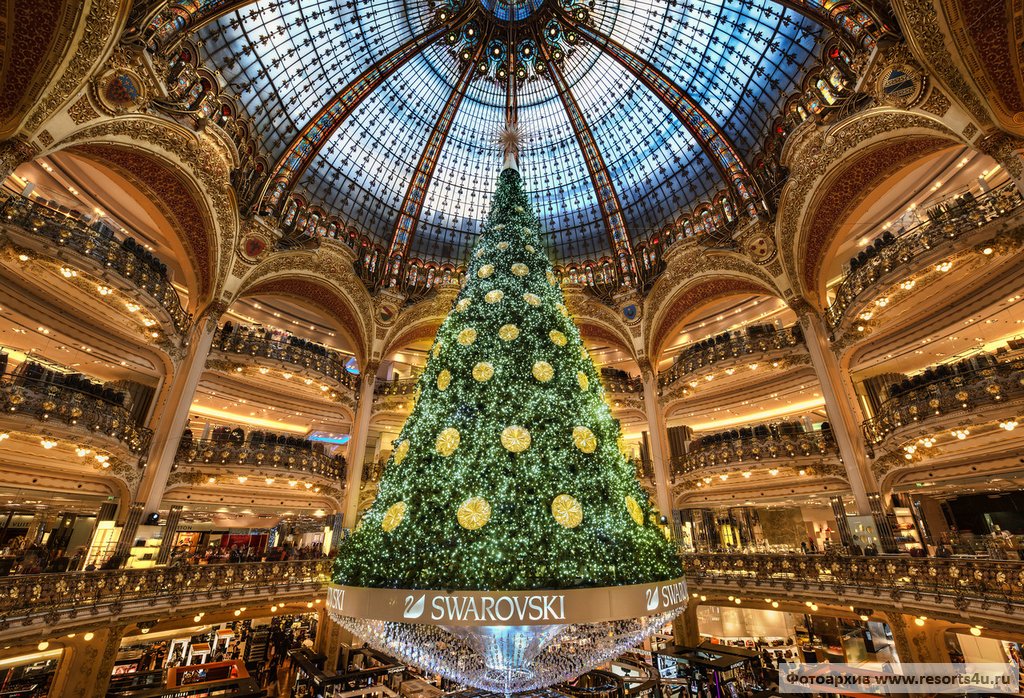 Самые красивые новогодние елки (100 фото) 🔥 BipBap.ru