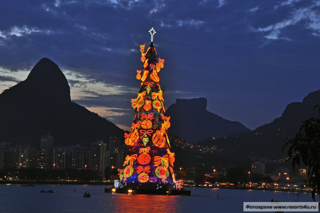 Самые красивые новогодние елки (100 фото) 🔥 BipBap.ru