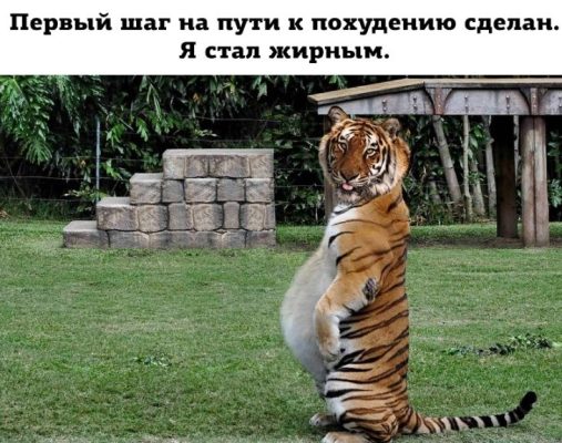 Очень смешные мемы 2023 (70 фото) 🔥 BipBap.ru