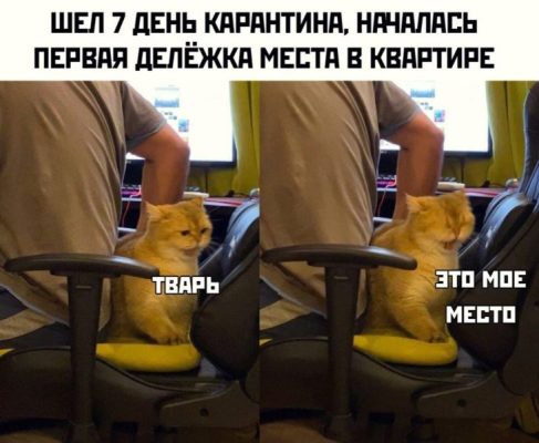 Очень смешные мемы 2023 (70 фото) 🔥 BipBap.ru