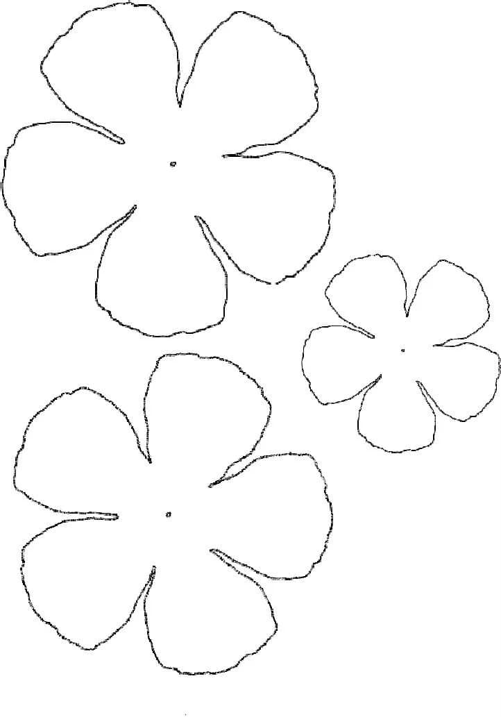 Трафареты цветов для вырезания (100 фото) 🔥 BipBap.ru