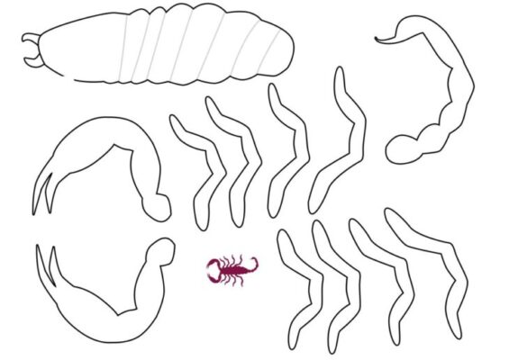 Шаблоны для младшей группы (160 фото) 🔥 BipBap.ru