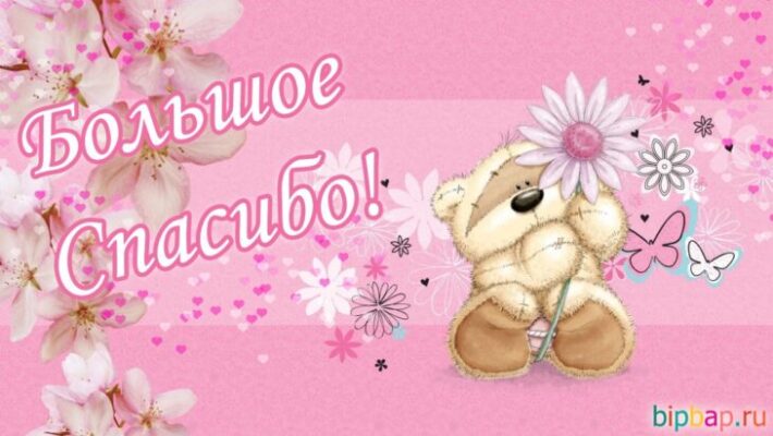 Шаблоны "Спасибо" (143 фото) 🔥 BipBap.ru