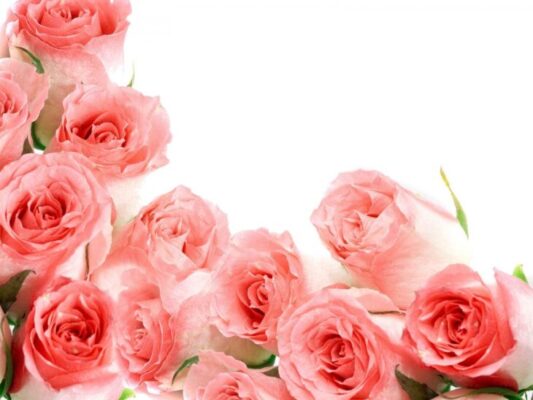 Шаблоны для поздравления мам (161 фото) 🔥 BipBap.ru